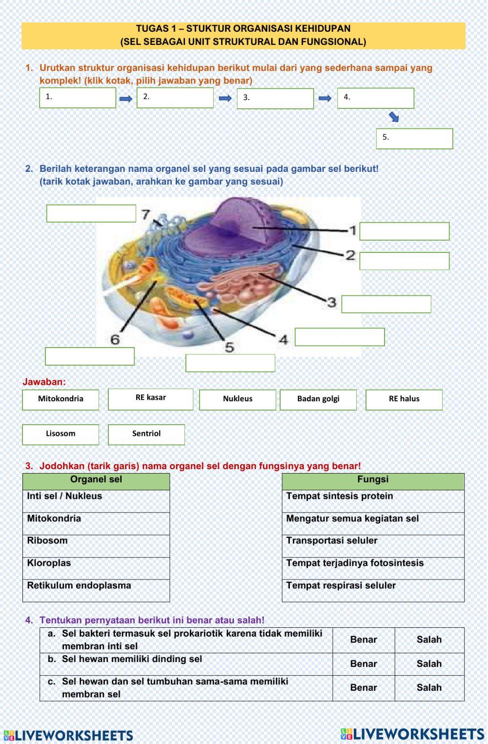 Lkpd sel exercise for VII | Live Worksheets
