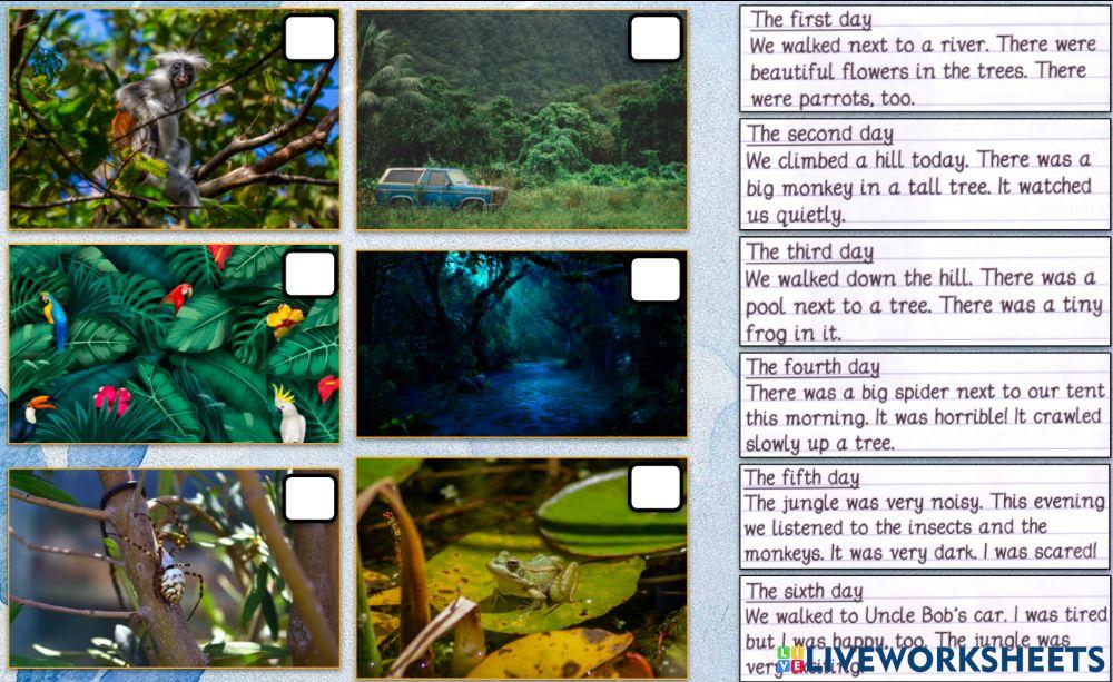 Ew2 u11 interactive worksheet | Live Worksheets