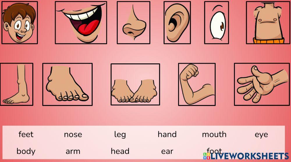 Ew2 u6 worksheet | Live Worksheets