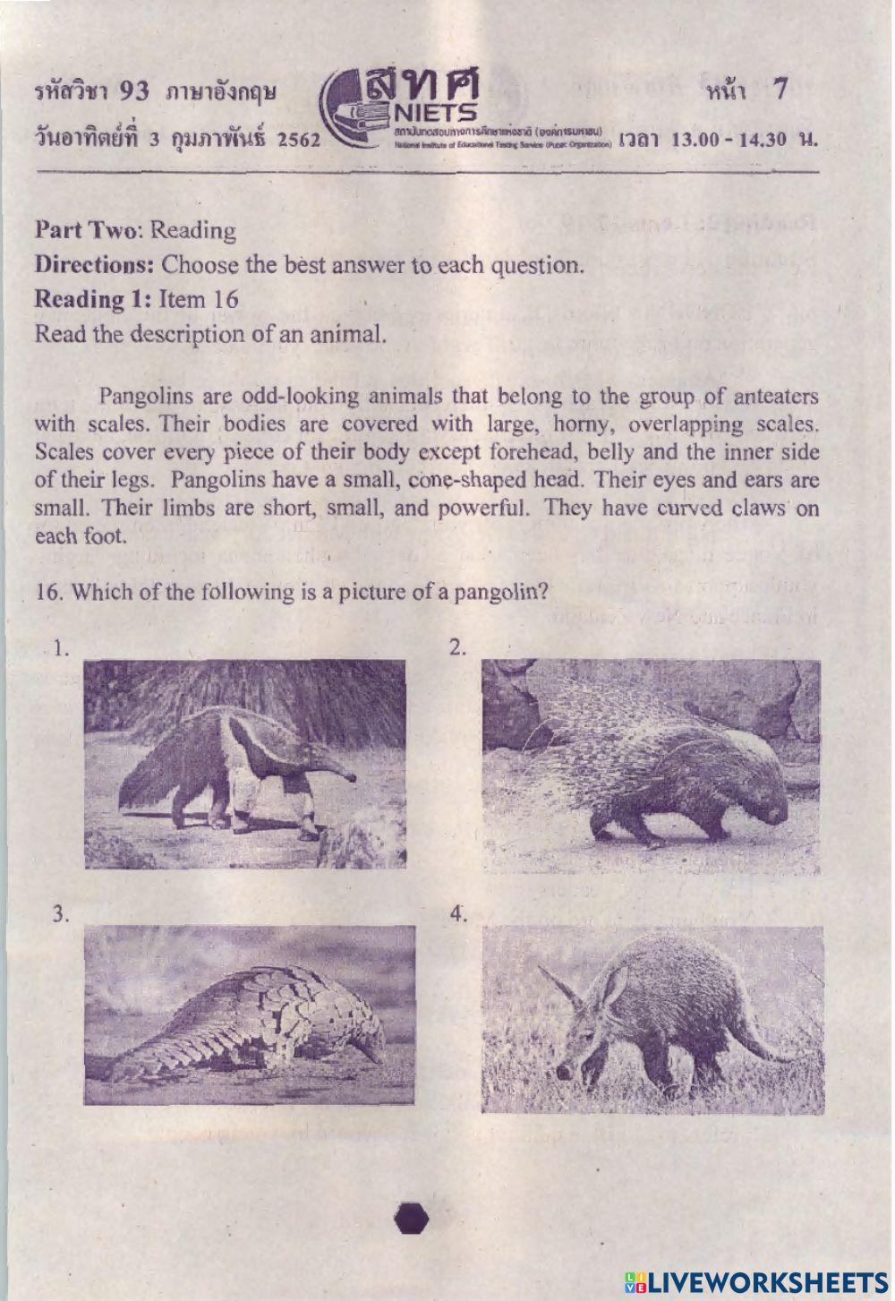 English ONET M… | Free Interactive Worksheets | 1817599