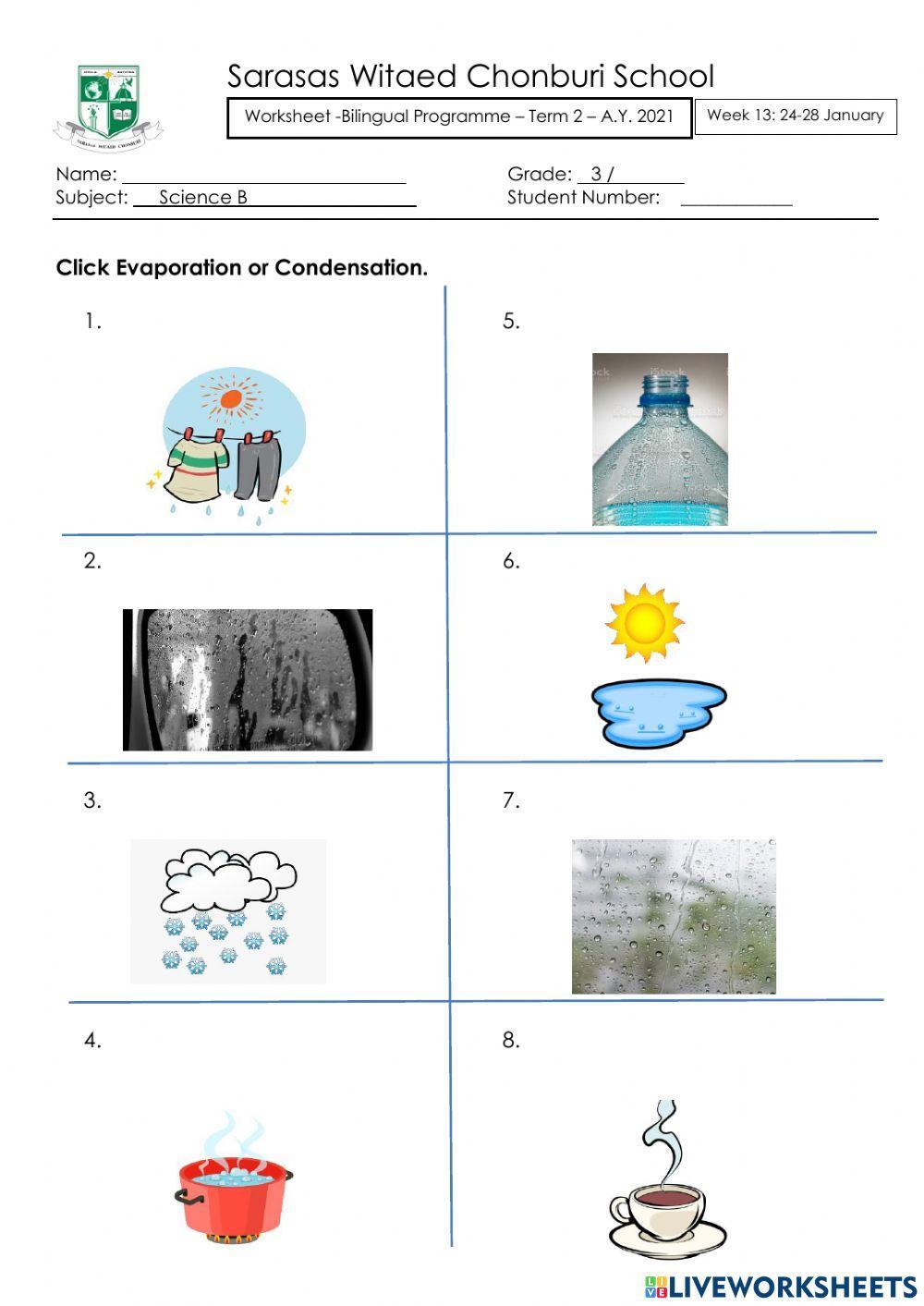 Evaporation Vs Condensation Worksheet Live Worksheets, 56% OFF Evaporation Vs Condensation Worksheet Live Worksheets, 56% OFF