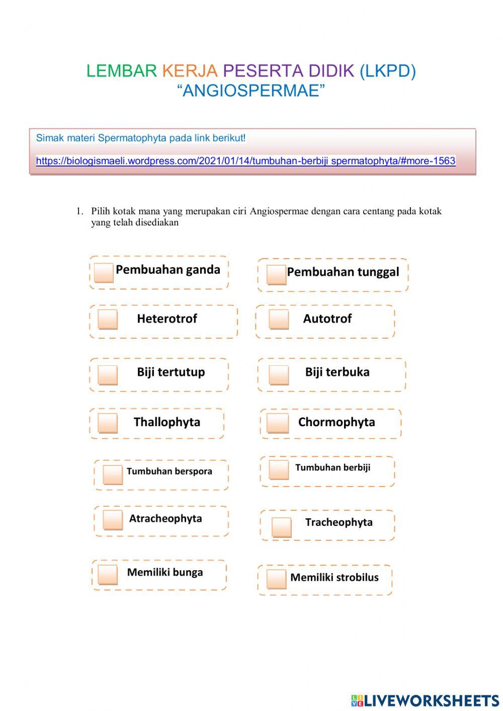 Angiospermae worksheet | Live Worksheets