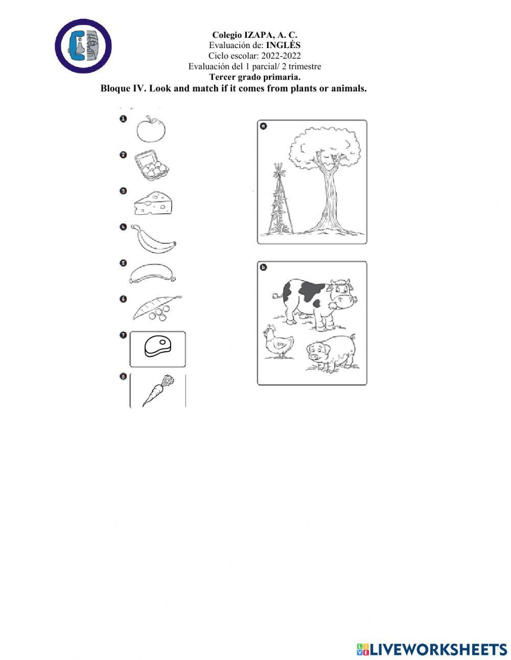 Exam 3 Elementary online exercise for | Live Worksheets