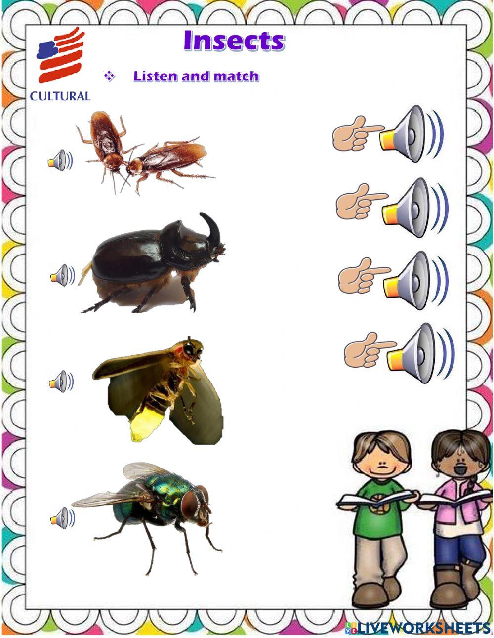 INSECTS III online exercise for | Live Worksheets