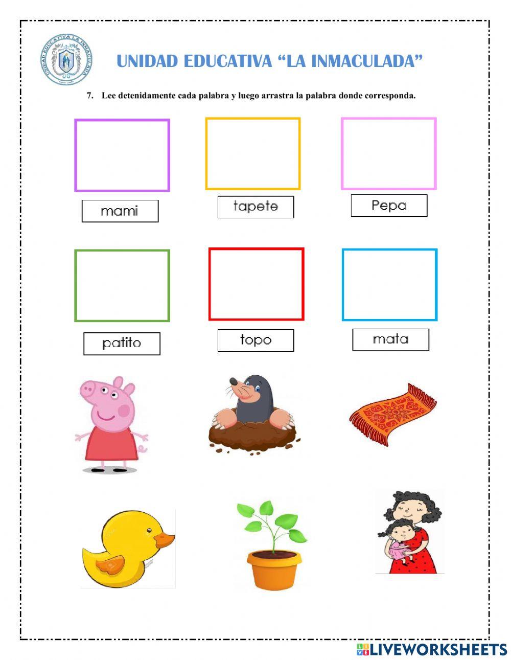 Producto final-segundo-de-básica worksheet | Live Worksheets