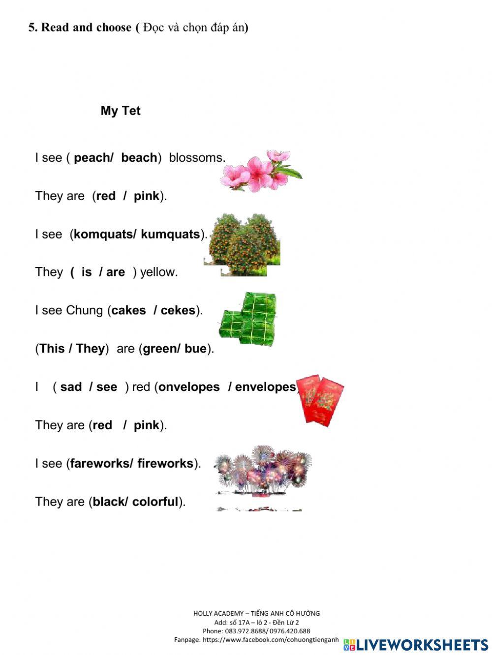 Tet holiday-L3 worksheet | Live Worksheets
