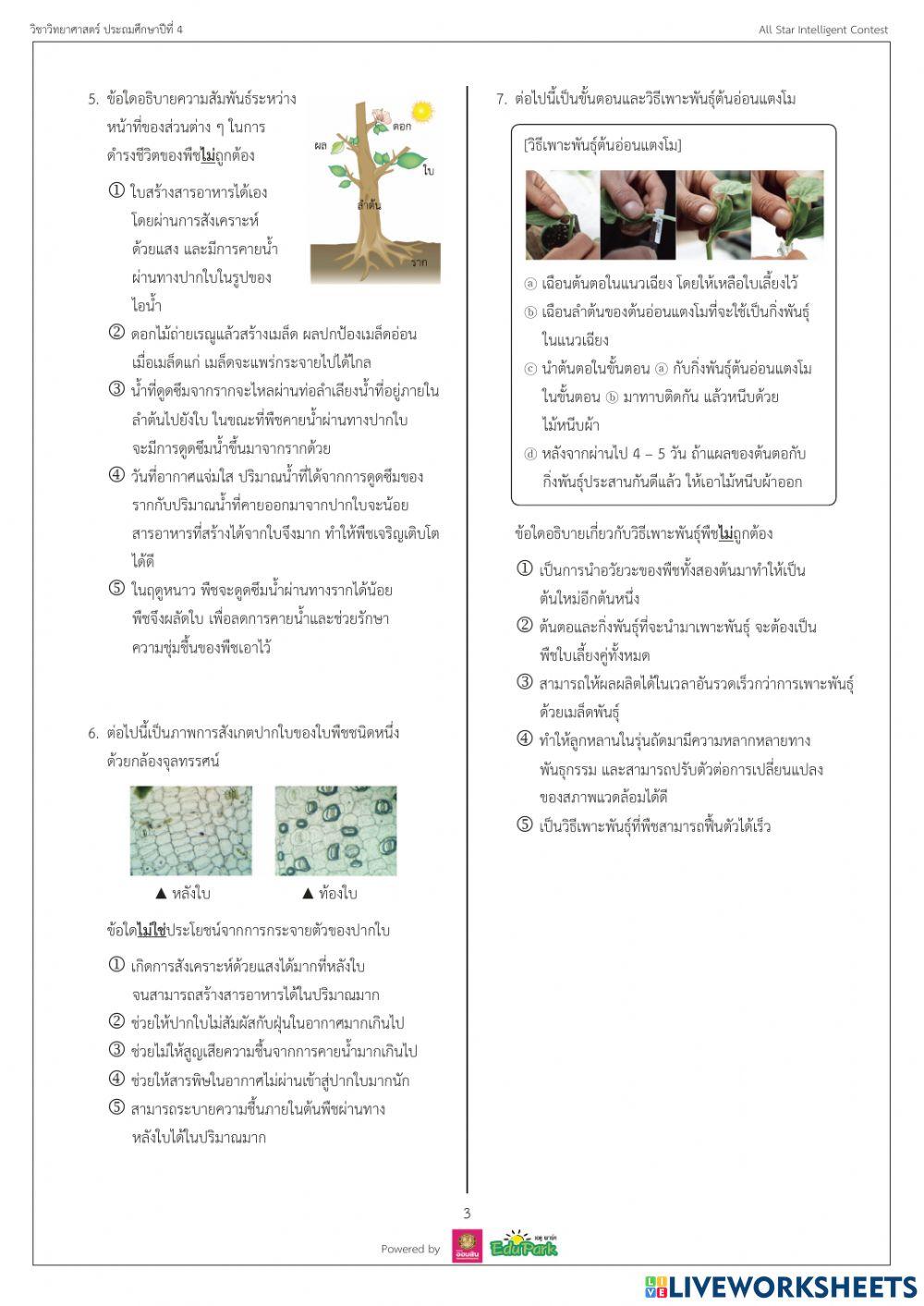 ข้อสอบ Tedet ปี… | Free Interactive Worksheets | 3535234