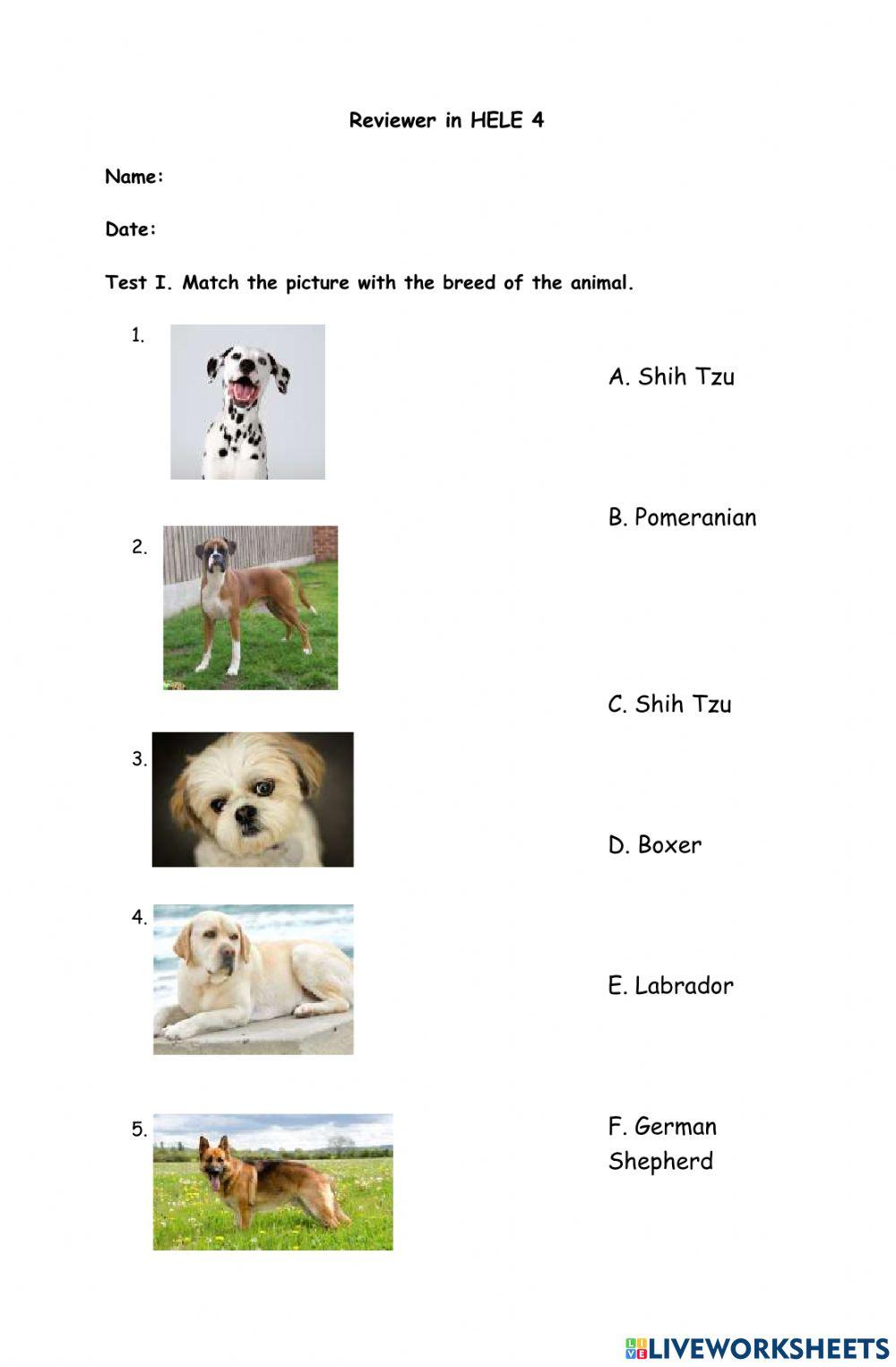 2693326 | HELE 4 Review | j_ann | LiveWorksheets