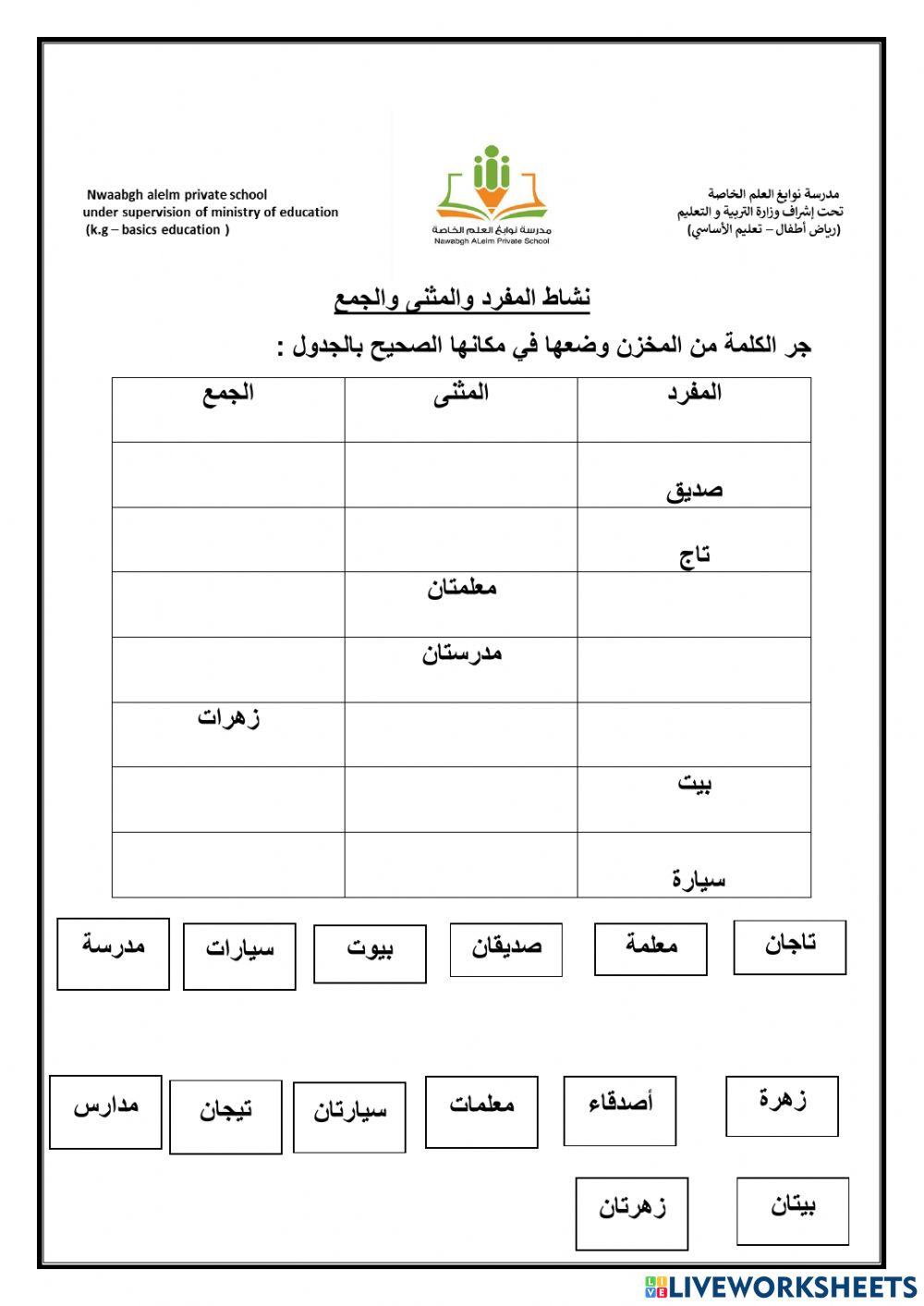 المفرد والمثنى والجمع online exercise for | Live Worksheets