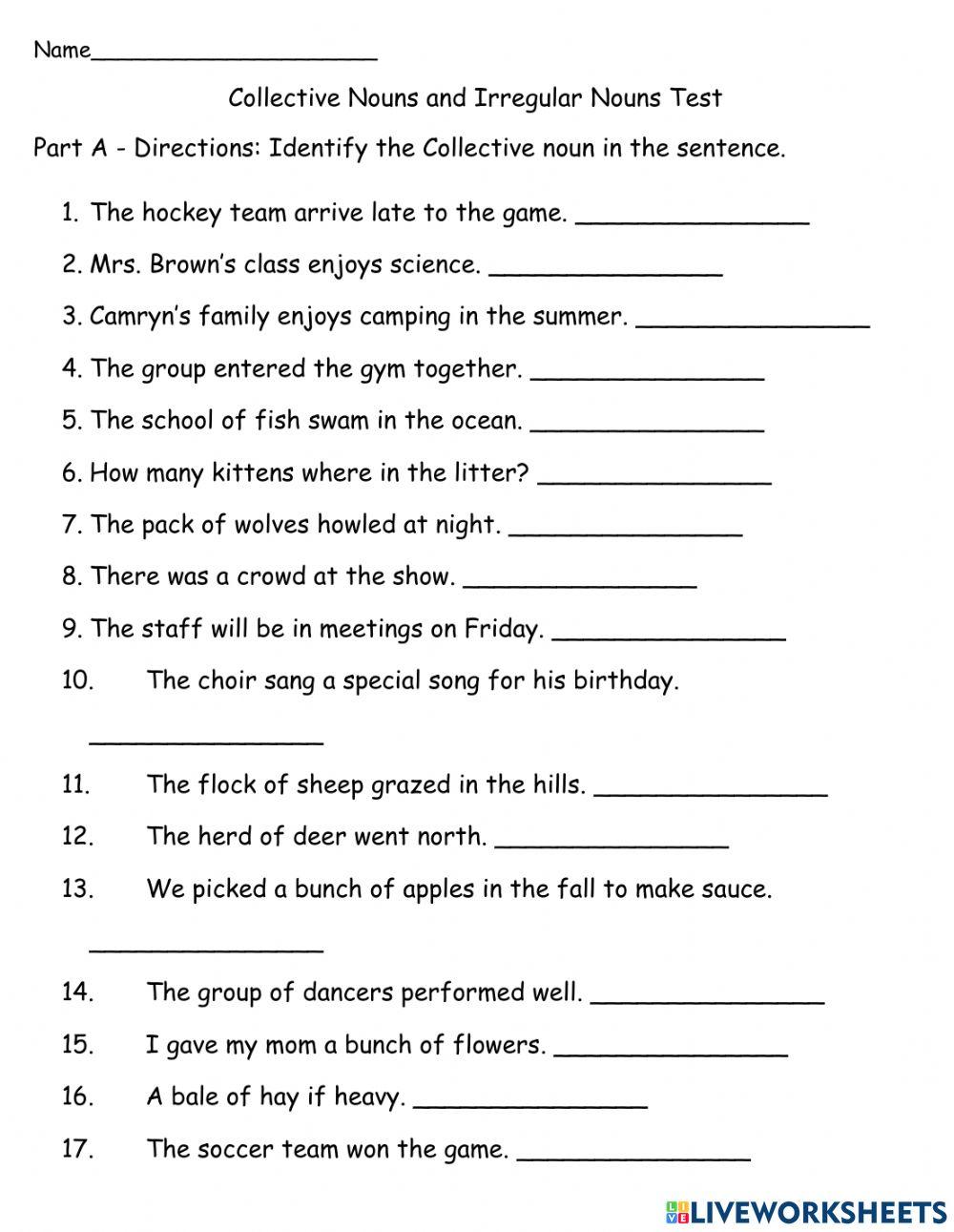 Collective and Irregular Nouns Test 2693773 | Sara Higgs