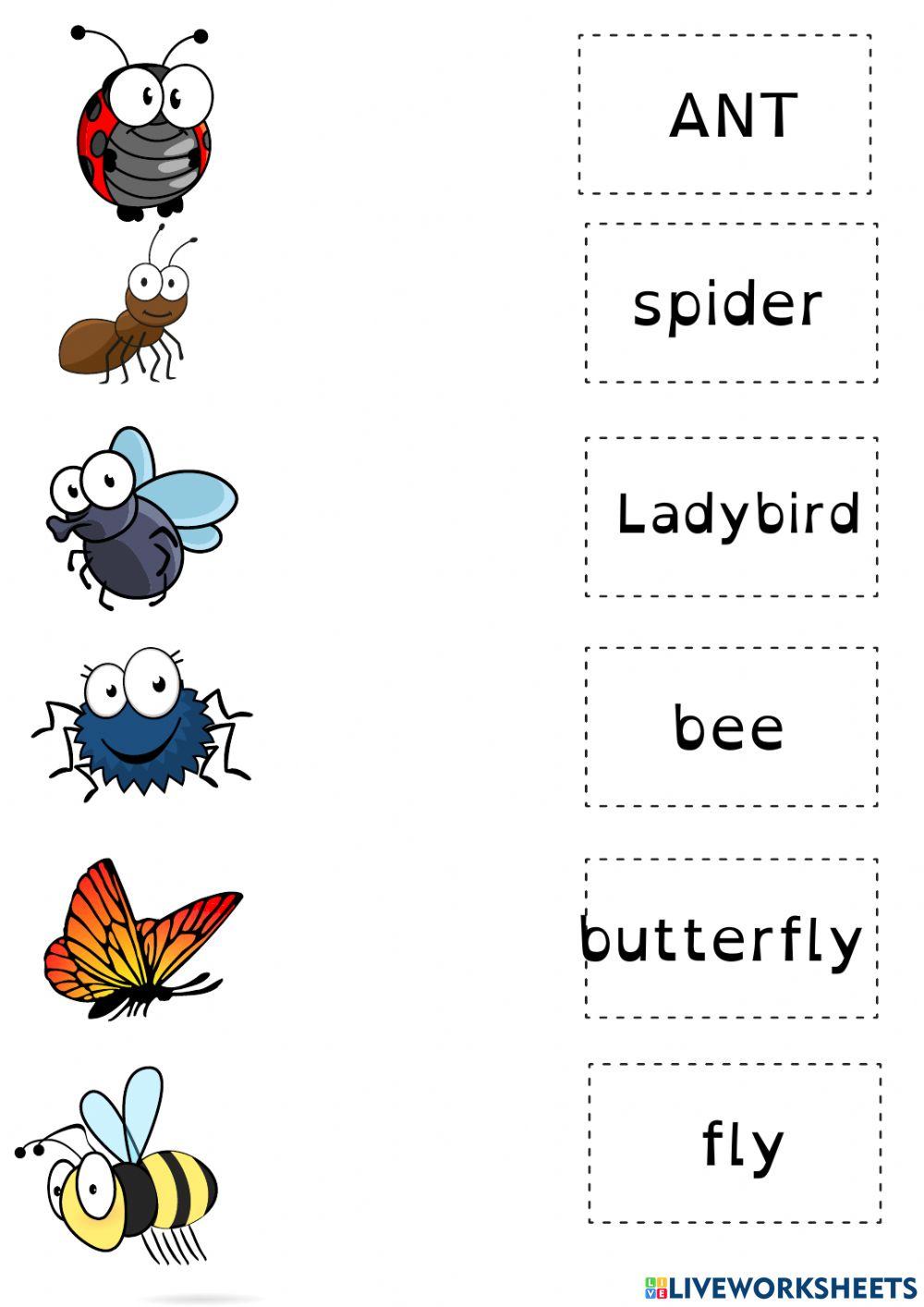 Pdf Online Exercise Bugs Live Worksheets 