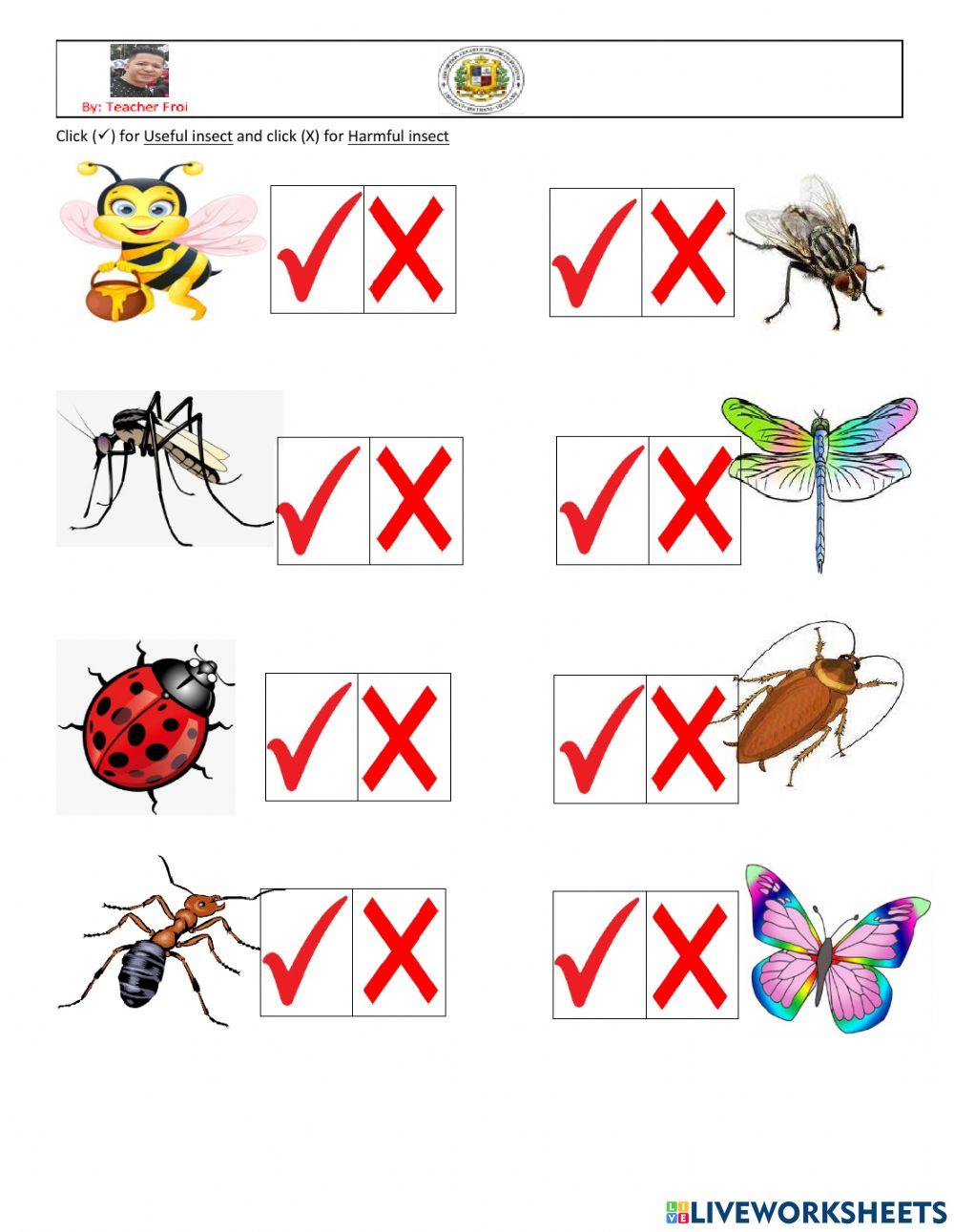 H&U insects worksheet | Live Worksheets