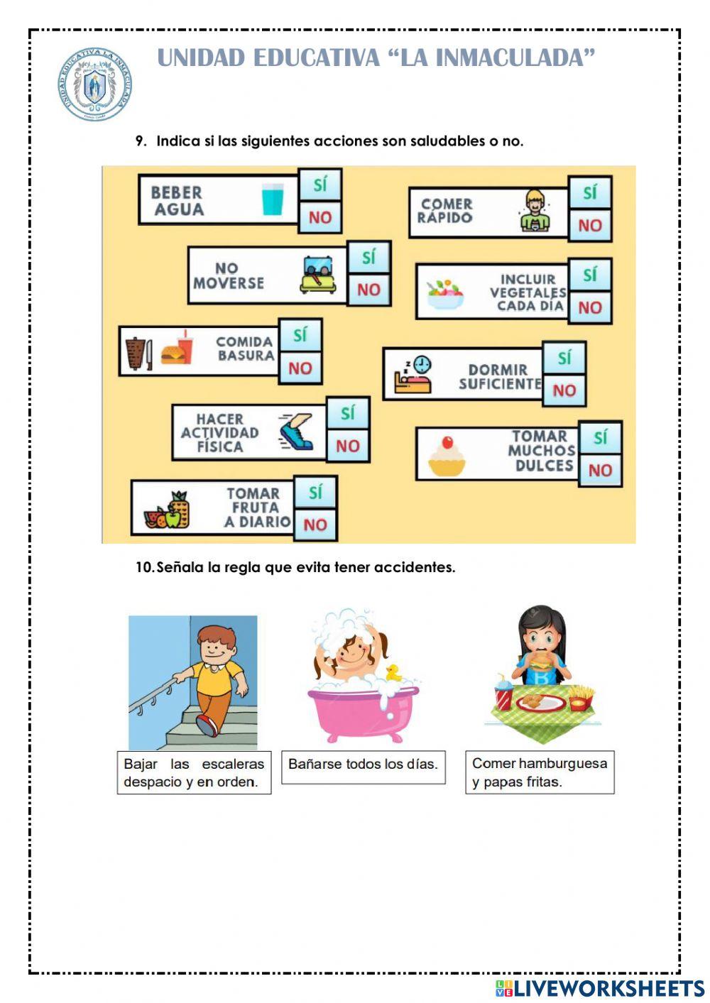 PRODUCTO FINAL CCNN worksheet | Live Worksheets