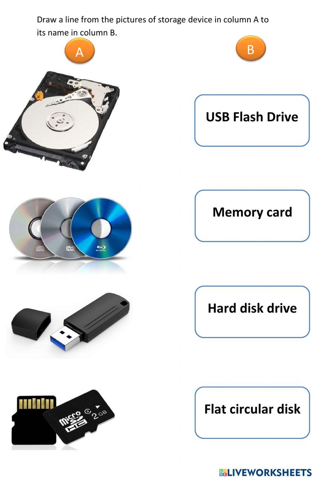 STORAGE DEVICE 2.0 online exercise for | Live Worksheets