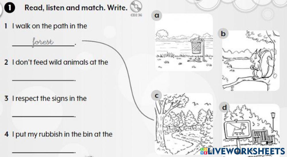 1821617 | Ada | Laura | LiveWorksheets