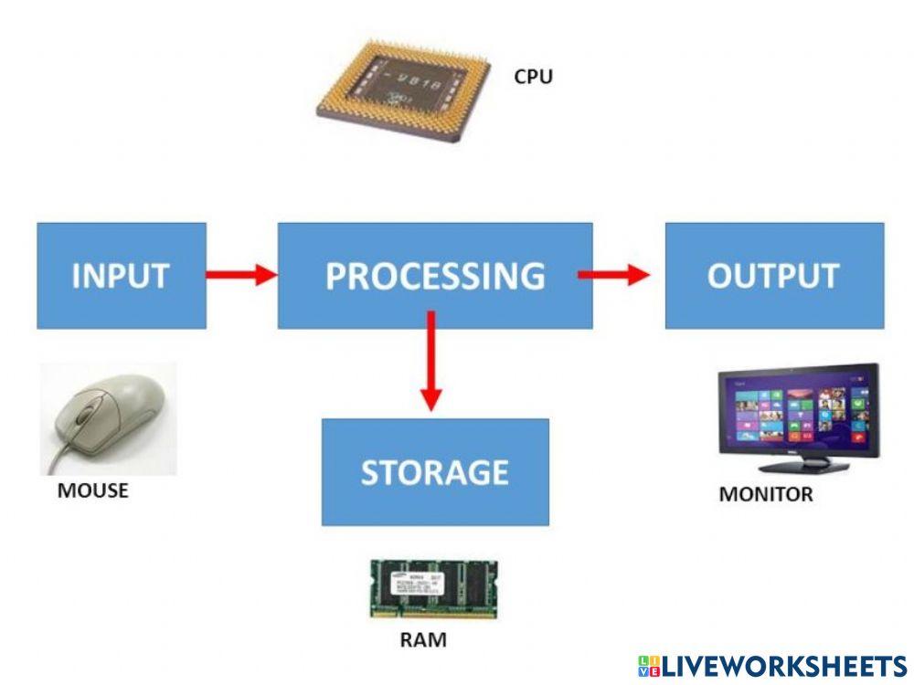 IPOS Cycle Worksheet 2694741 | kcharles12 | Live