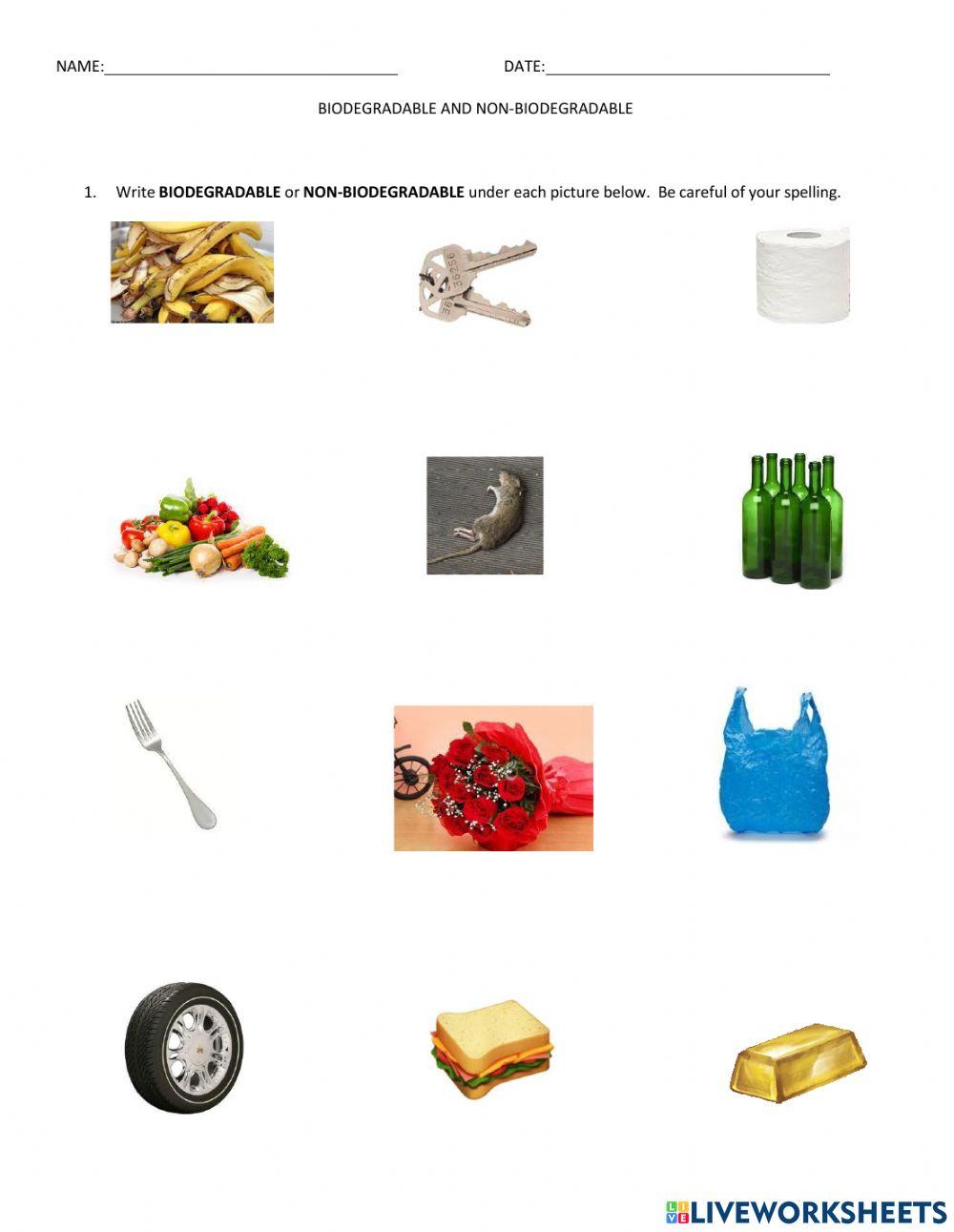 Biodegradable And Non biodegradable Worksheet 3534216 Biodegradable And Non biodegradable Worksheet 3534216