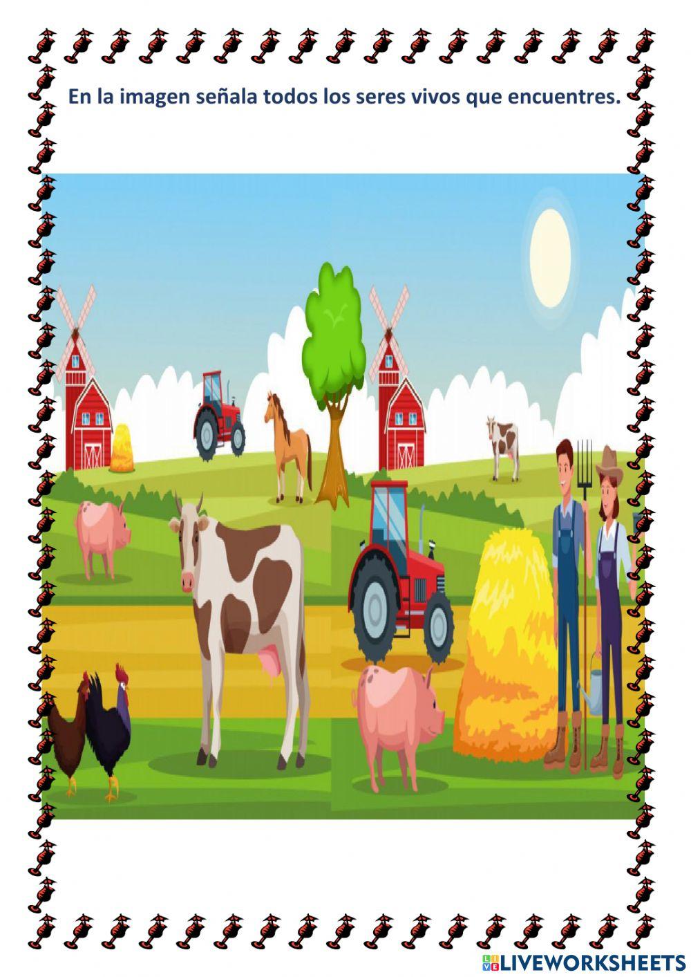 ACTIVIDAD INTERACTIVA worksheet | Live Worksheets