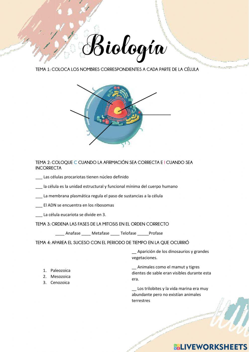 Biología 1 | Free Interactive Worksheets | 1823056