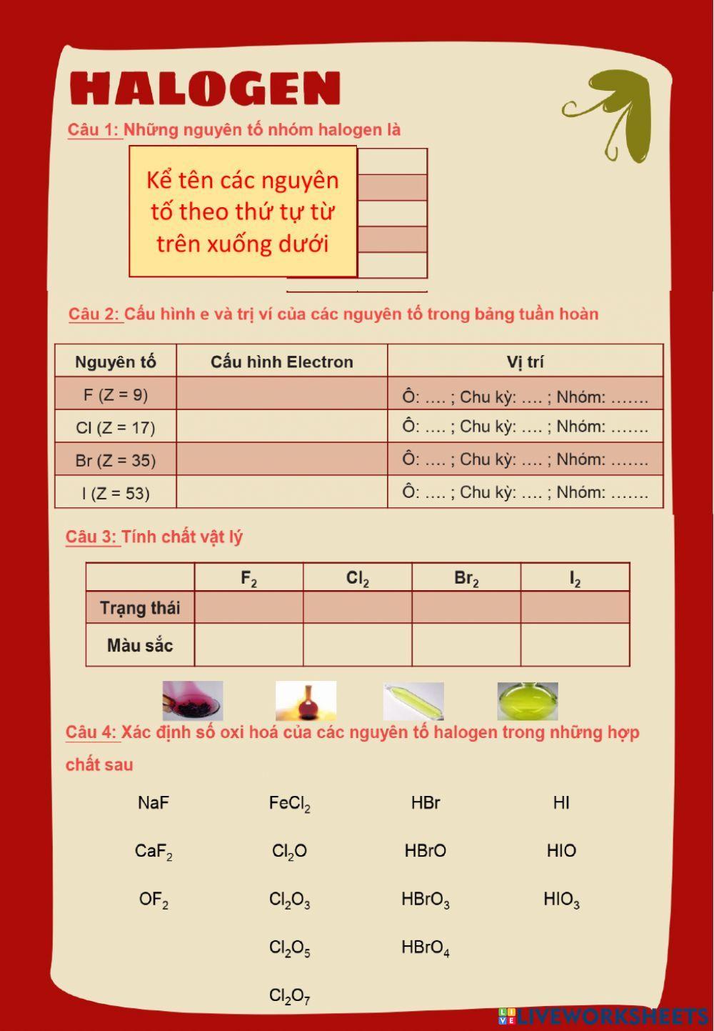 1823186 | Đơn chất Halogen | vuthithanhhoa0512