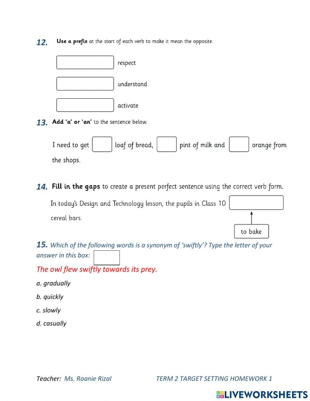 5284475 | Term 2 VGP Y6 Target Homework | Mariowsa