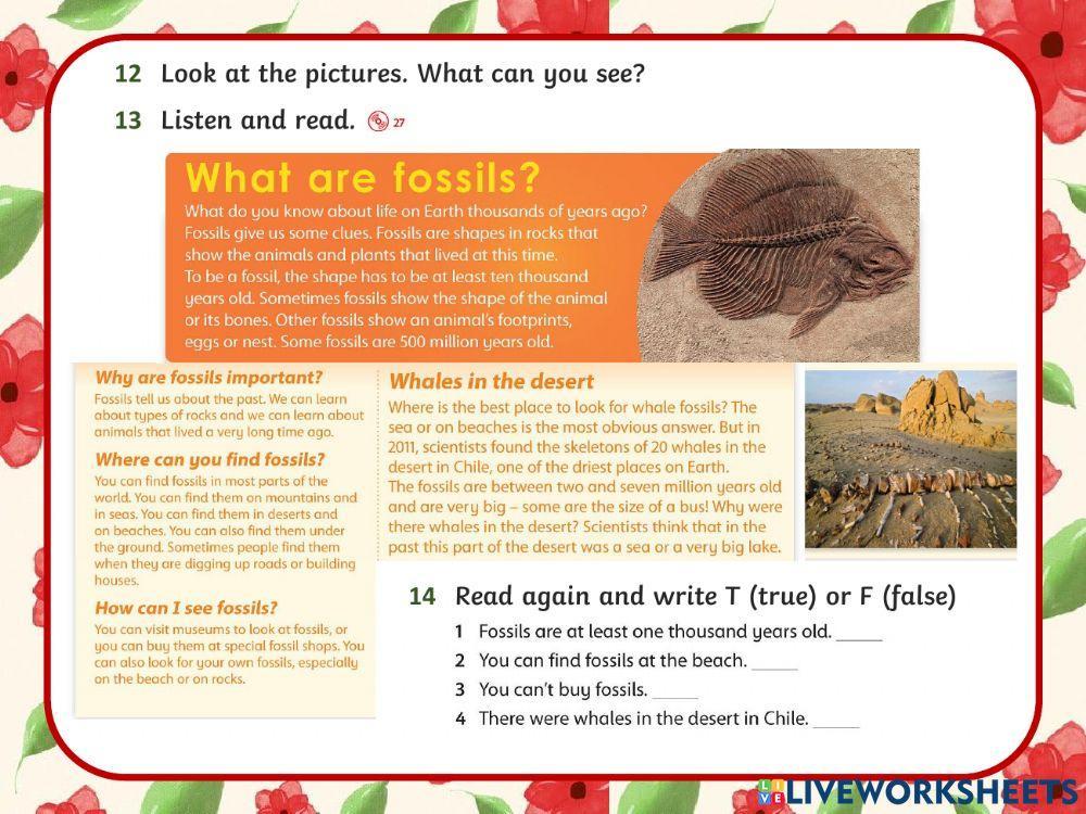 FF4 Unit 3 flue… | Free Interactive Worksheets | 2695909