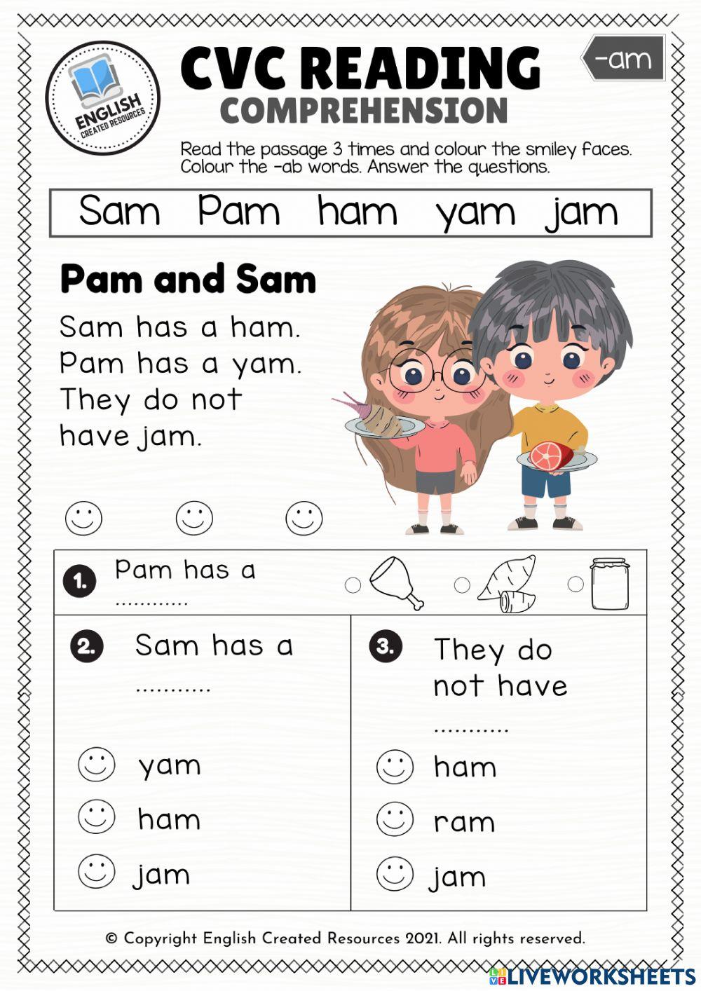 5285365 | CVC -am Reading Comprehension | ayshahani