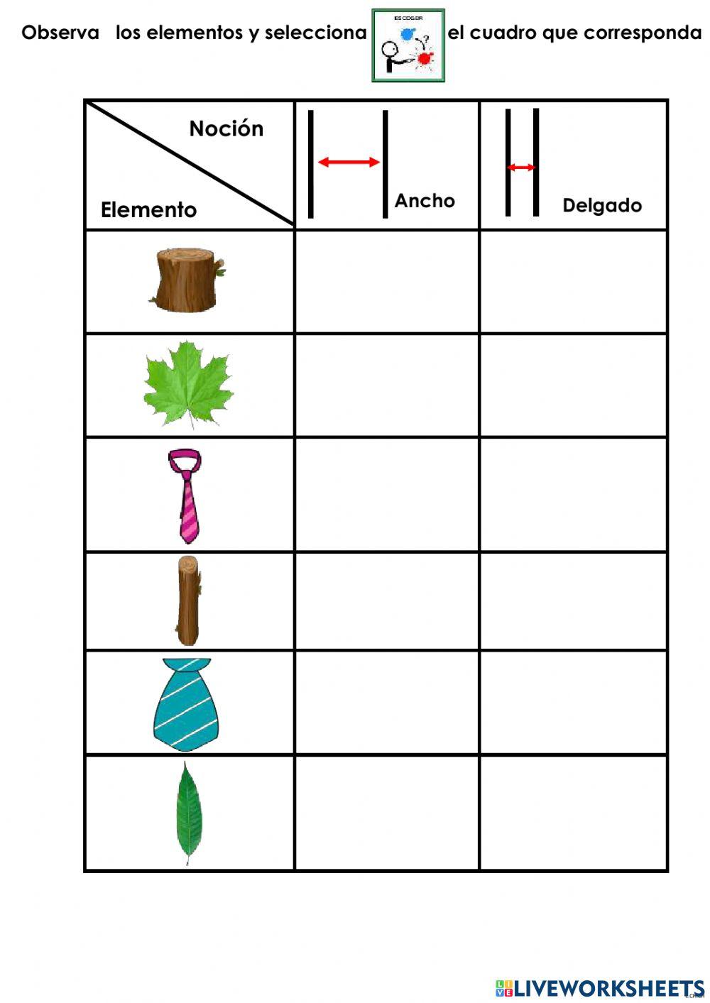 Noción Ancho-De… | Free Interactive Worksheets | 1825695