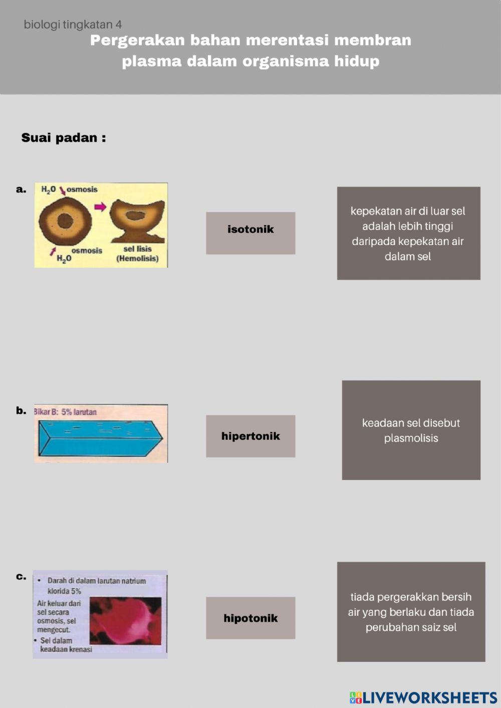 kump7-pergerakan bahan merentasi membran plasma online exercise for | Live Worksheets
