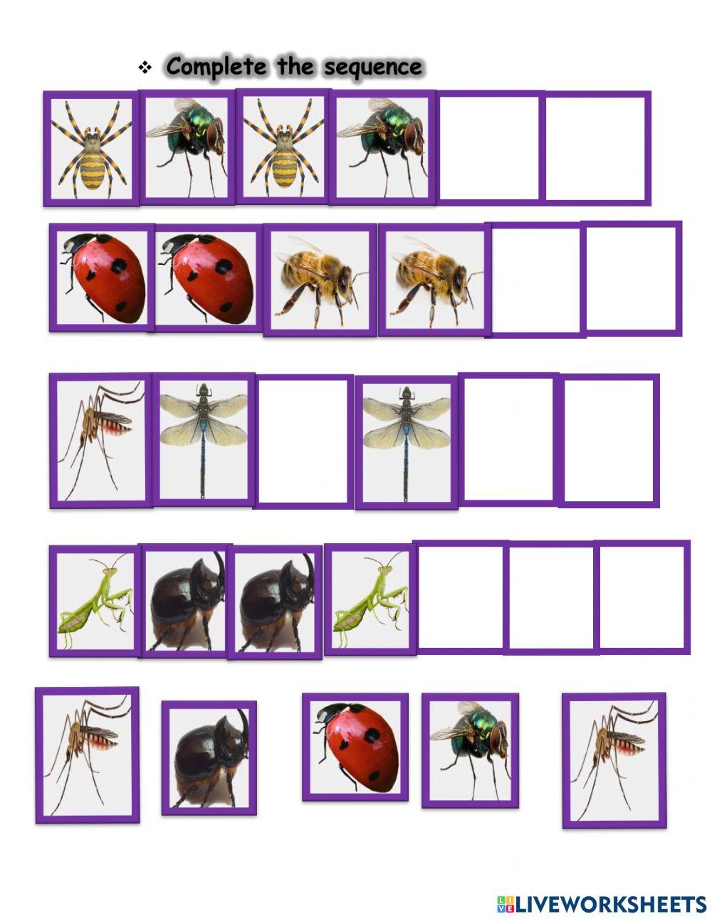 INSECTS IV online exercise for | Live Worksheets