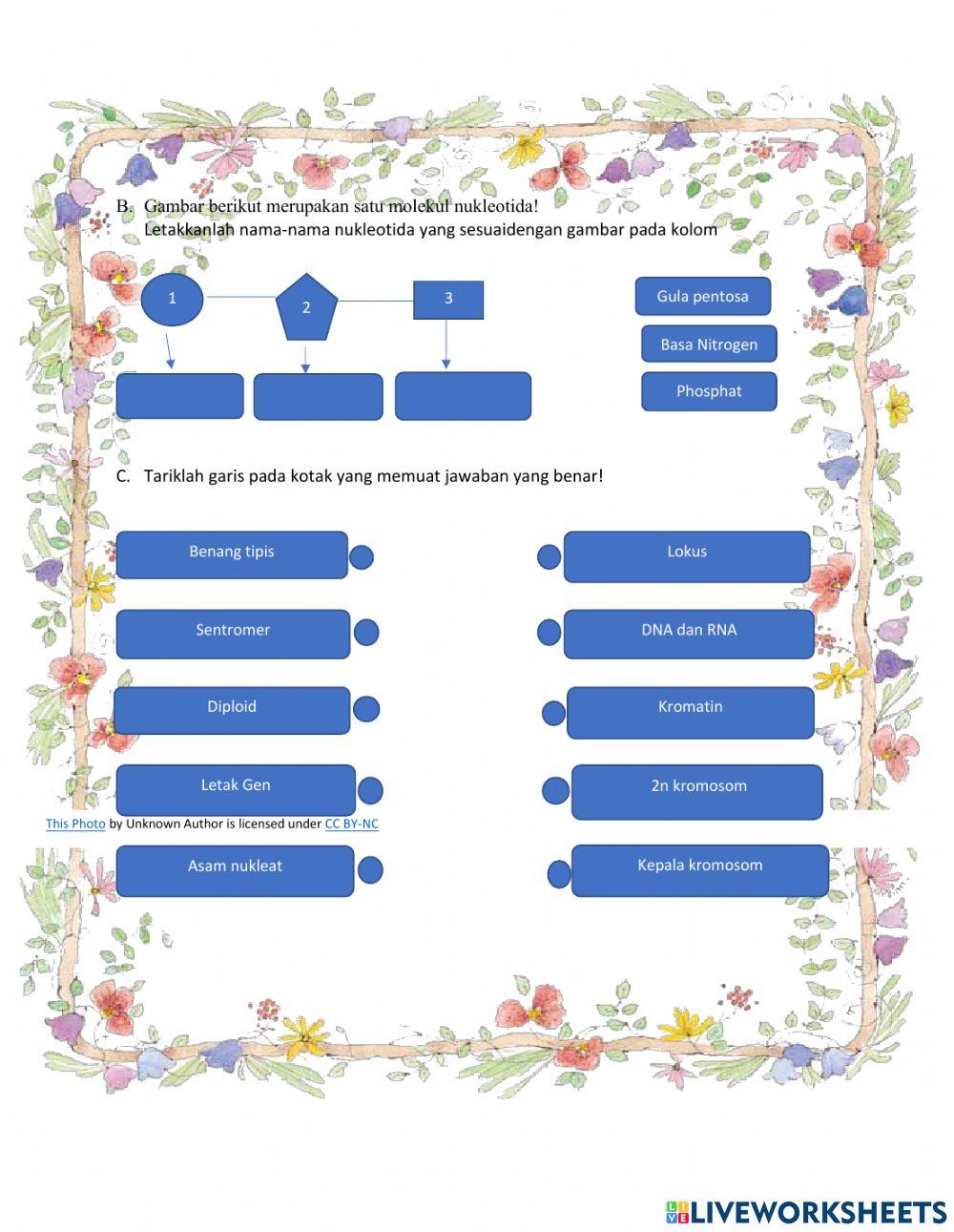 contoh membuat LKPD 1830914 | hafidatul husna siregar