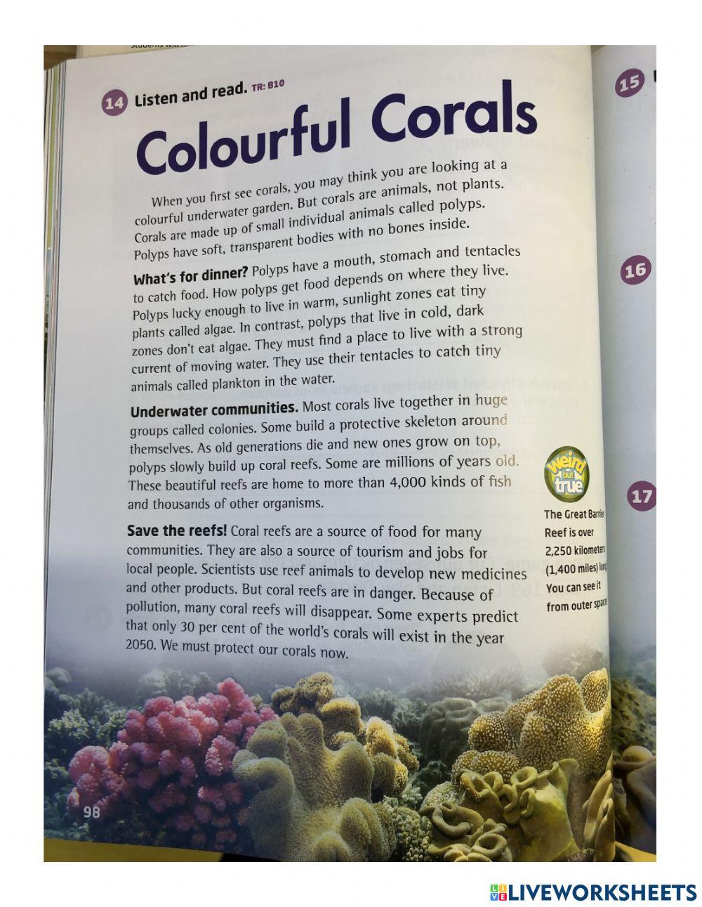 Colourful Corals online exercise for | Live Worksheets