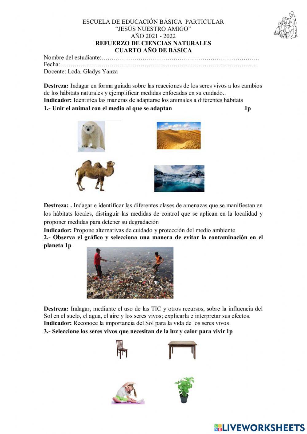 REFUERZO DE CIE… | Free Interactive Worksheets | 2699110