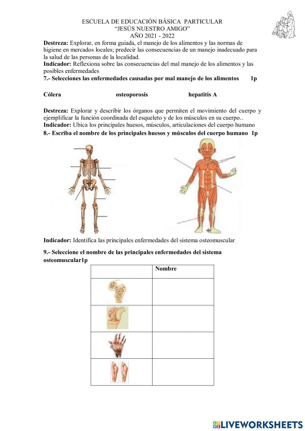 REFUERZO DE CIE… | Free Interactive Worksheets | 2699110