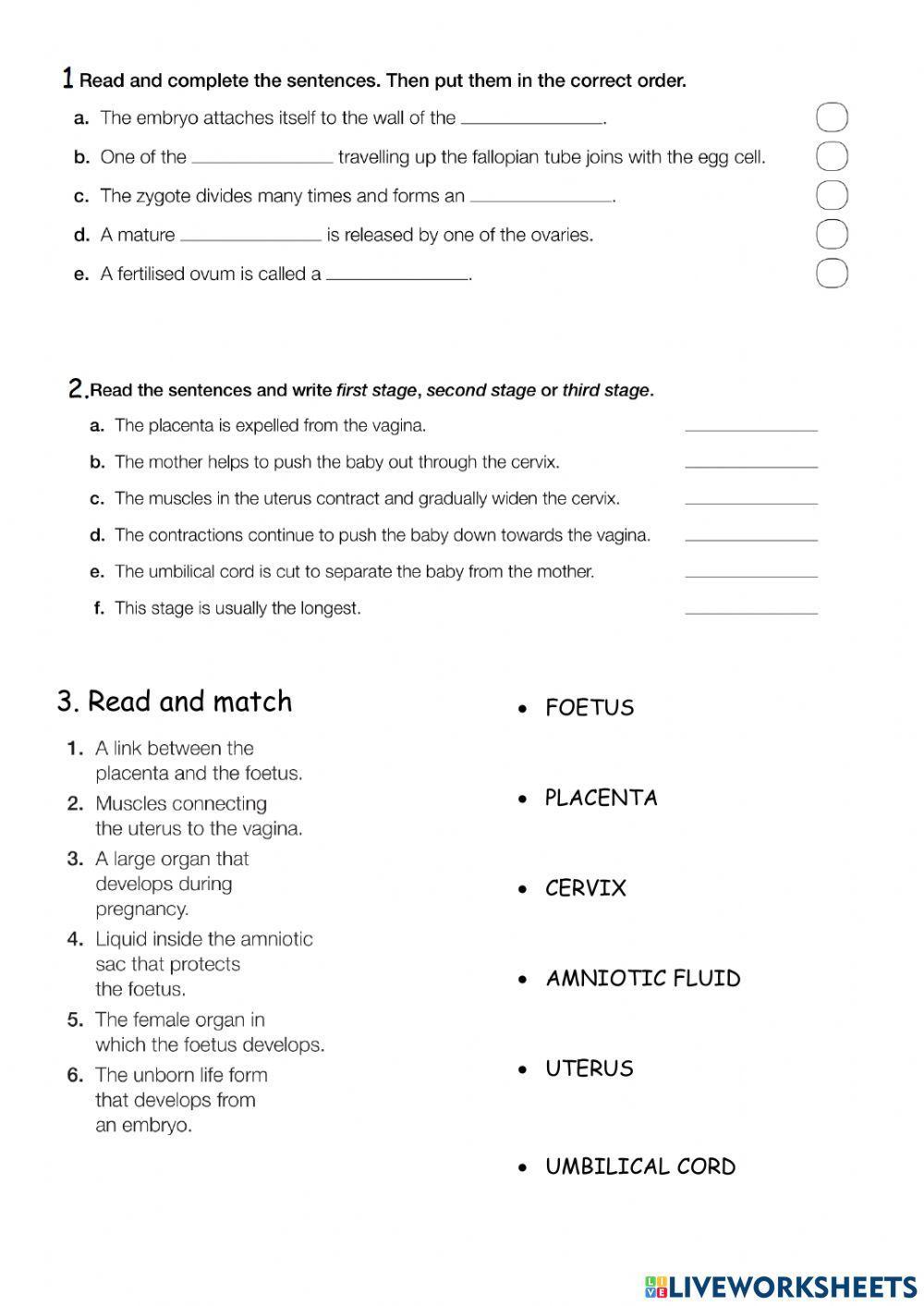 Pregnancy and b… | Free Interactive Worksheets | 1828487