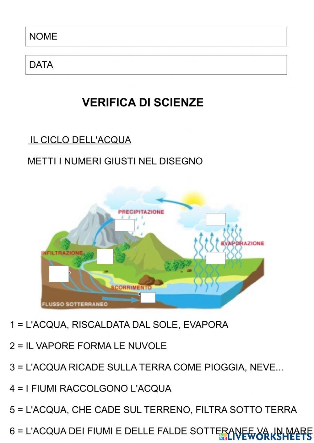 Acqua, suolo e … | Free Interactive Worksheets | 1828632