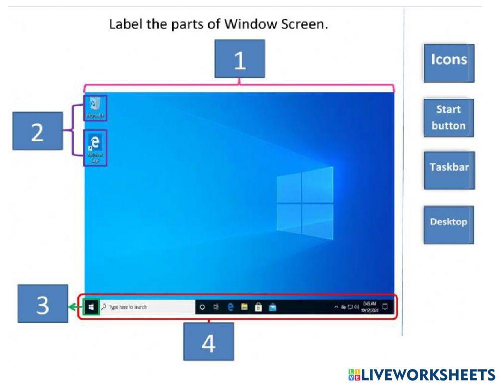 Windows | MsCess | Live Worksheets