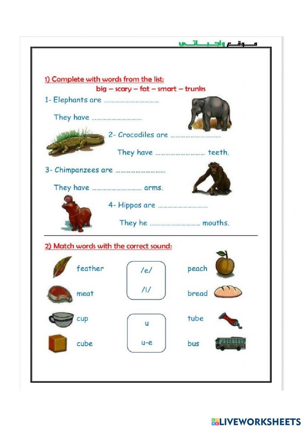 Wild animals online exercise for grade 5 | Live Worksheets