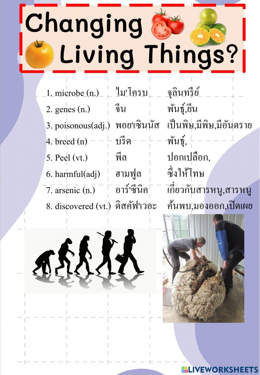 changing living thing 3537810 | Saengdao Koprom