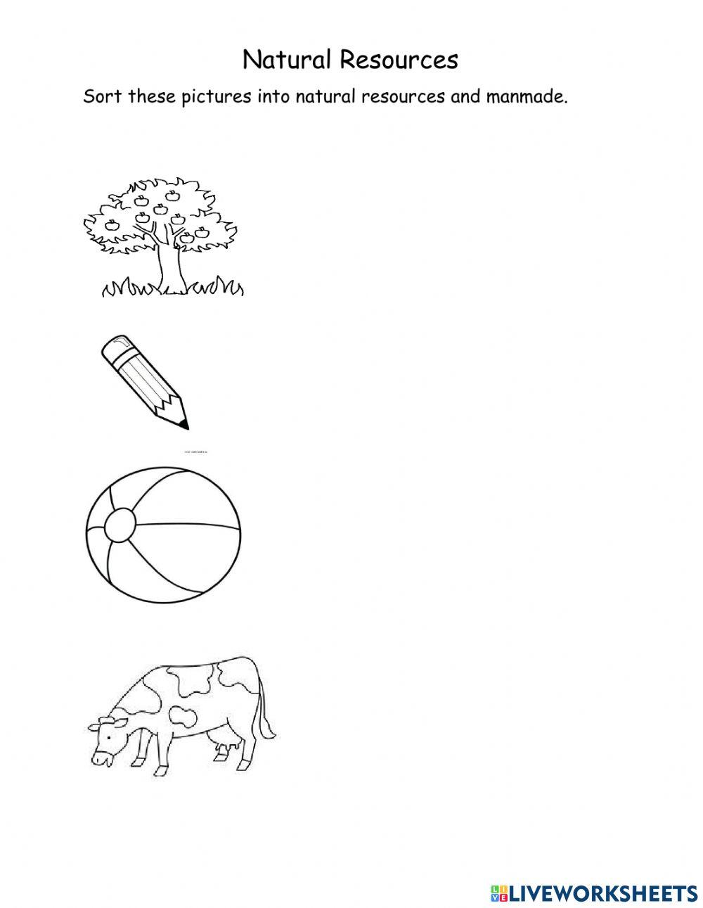 Natural Resources 1st Grade Worksheets