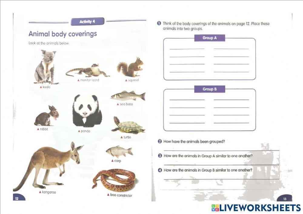 1837232 | Body coverings | Tahun3_SRPB | LiveWorksheets