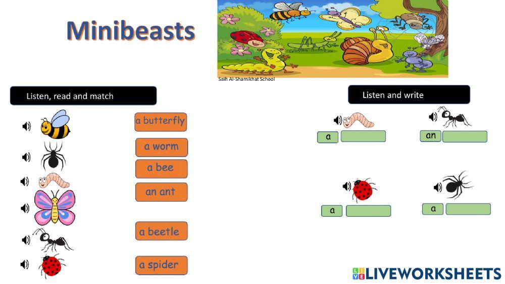 Minibeasts online worksheet for grade 3 | Live Worksheets