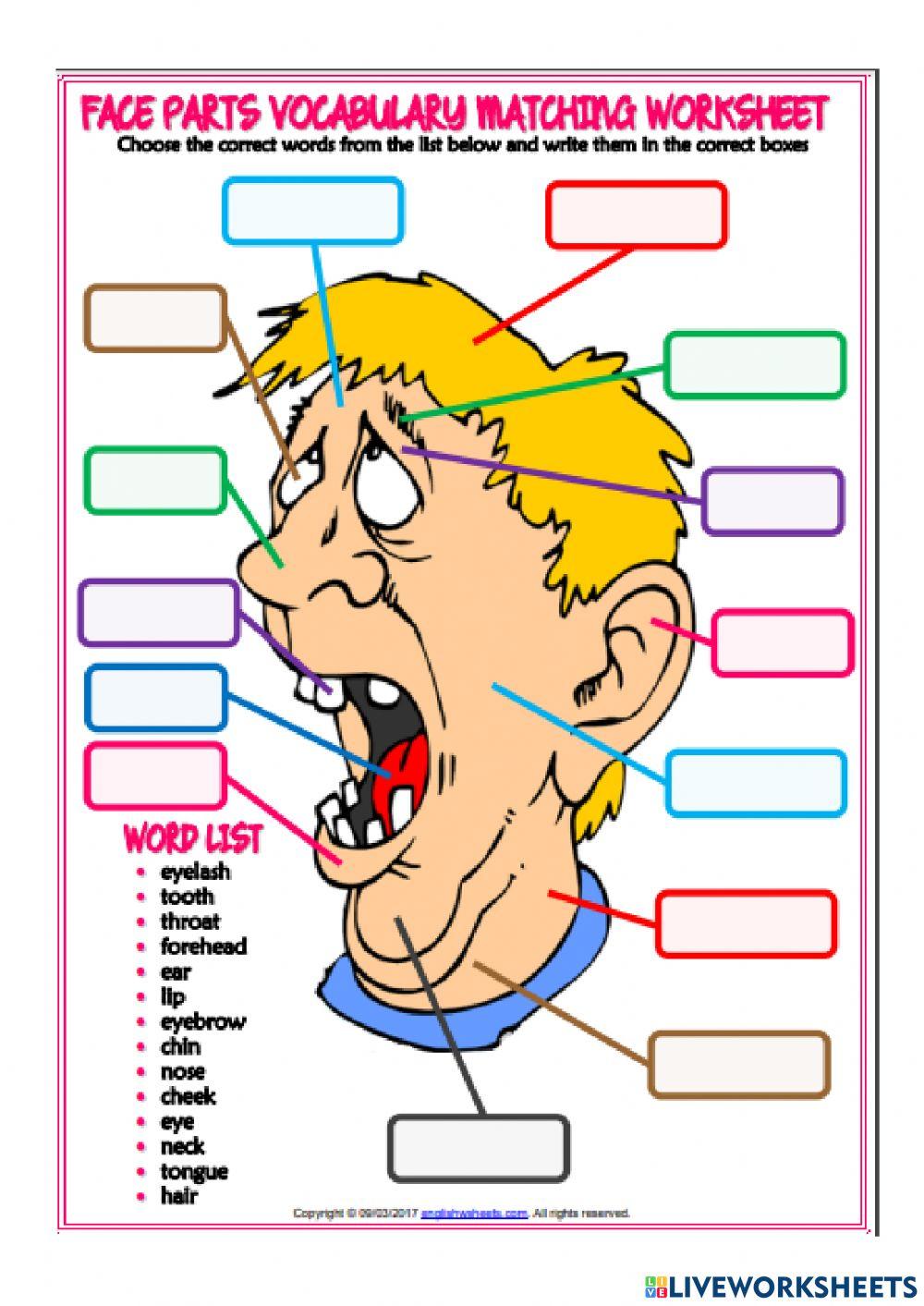 Face parts online exercise for | Live Worksheets