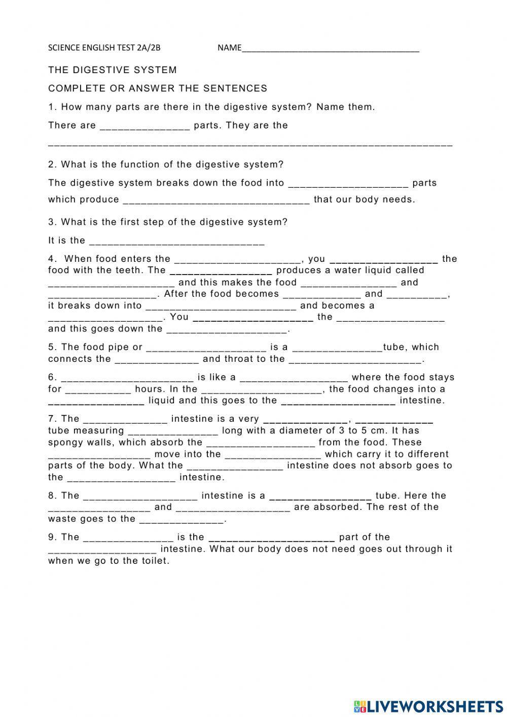 test on digestive system process Andrea online exercise for | Live ...