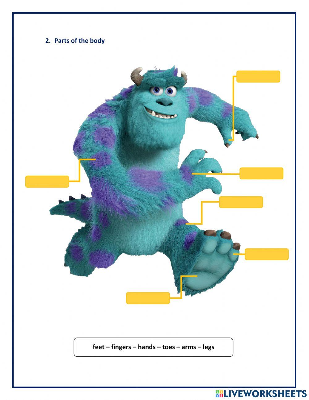 Body Parts Basic 1769707 | Heidi Vera | Live Worksheets