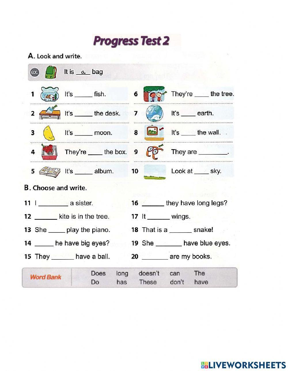 My first Grammar 1769765 | Lê Thị Thúy | Live Worksheets