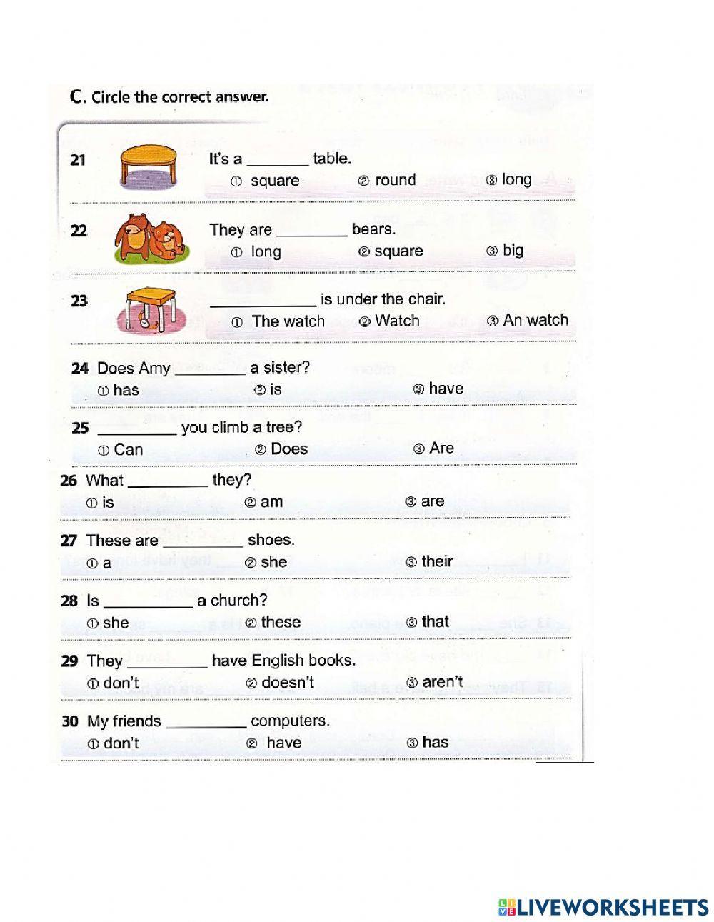 My first Grammar 1769765 | Lê Thị Thúy | Live Worksheets