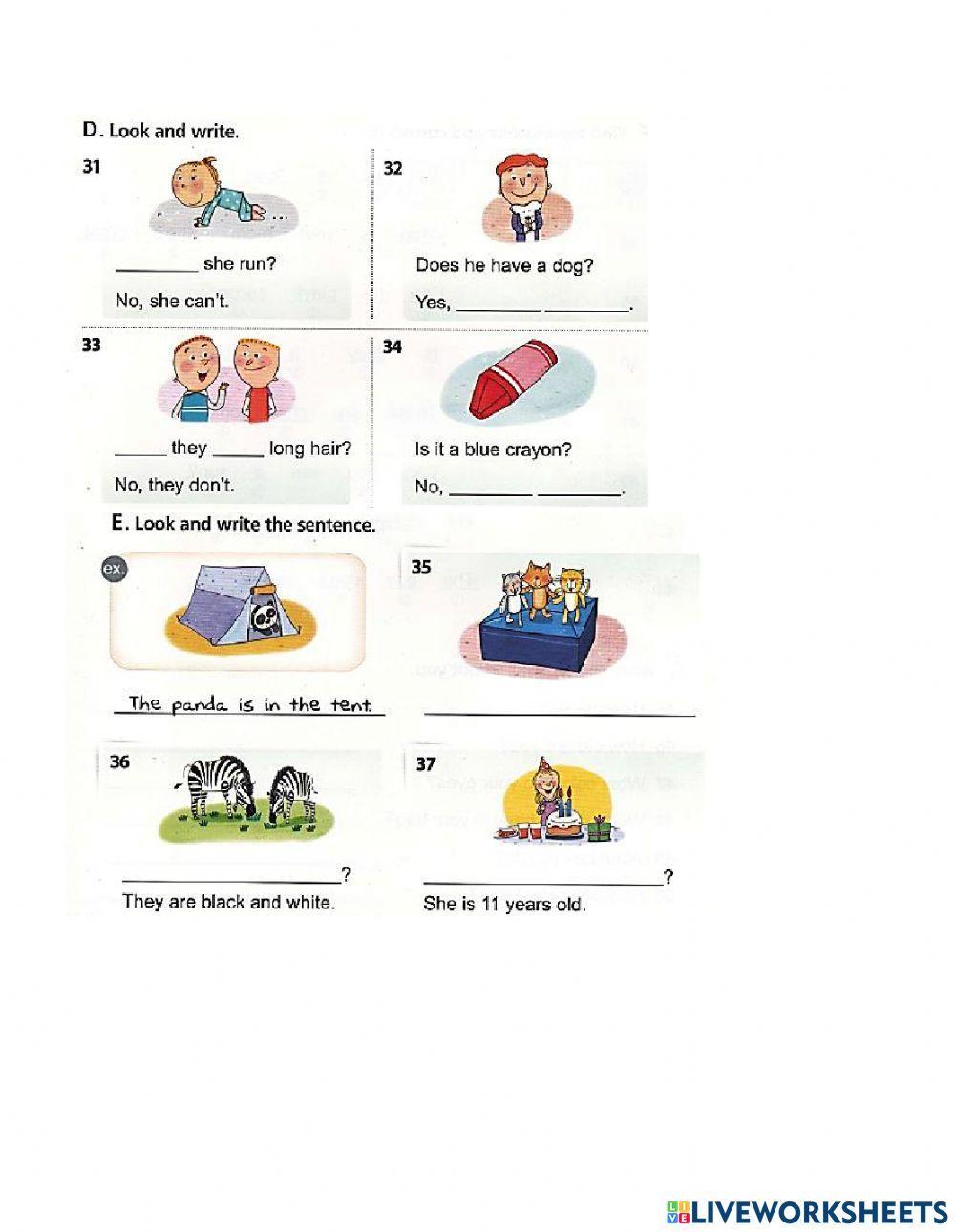 My first Grammar 1769765 | Lê Thị Thúy | Live Worksheets