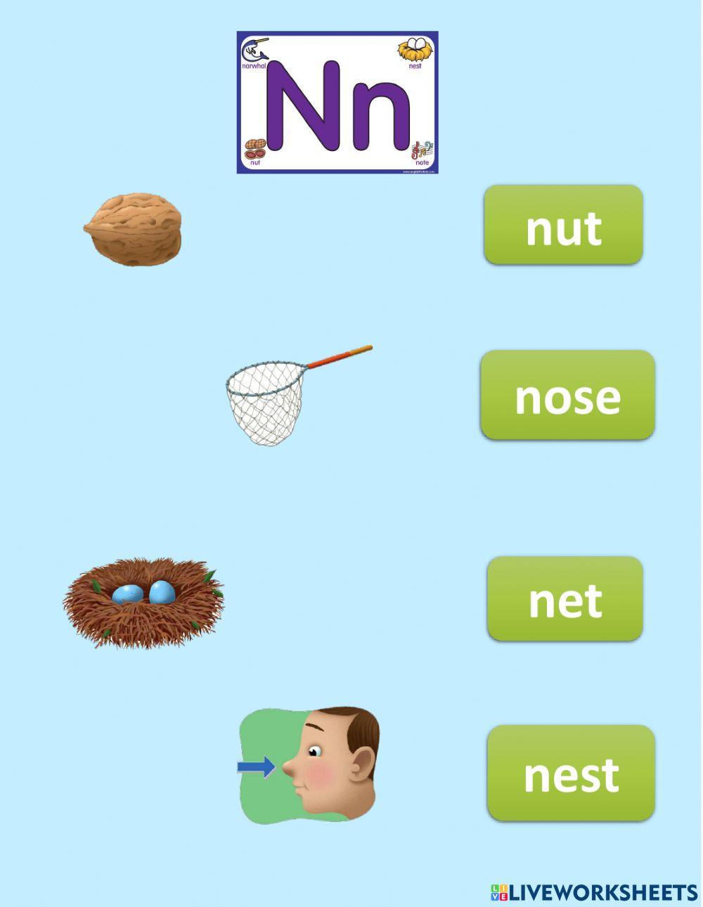 Letter N | Free Interactive Worksheets | 1769788