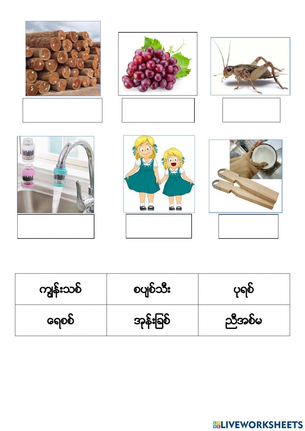 Myanmar | Free Interactive Worksheets | 1769995